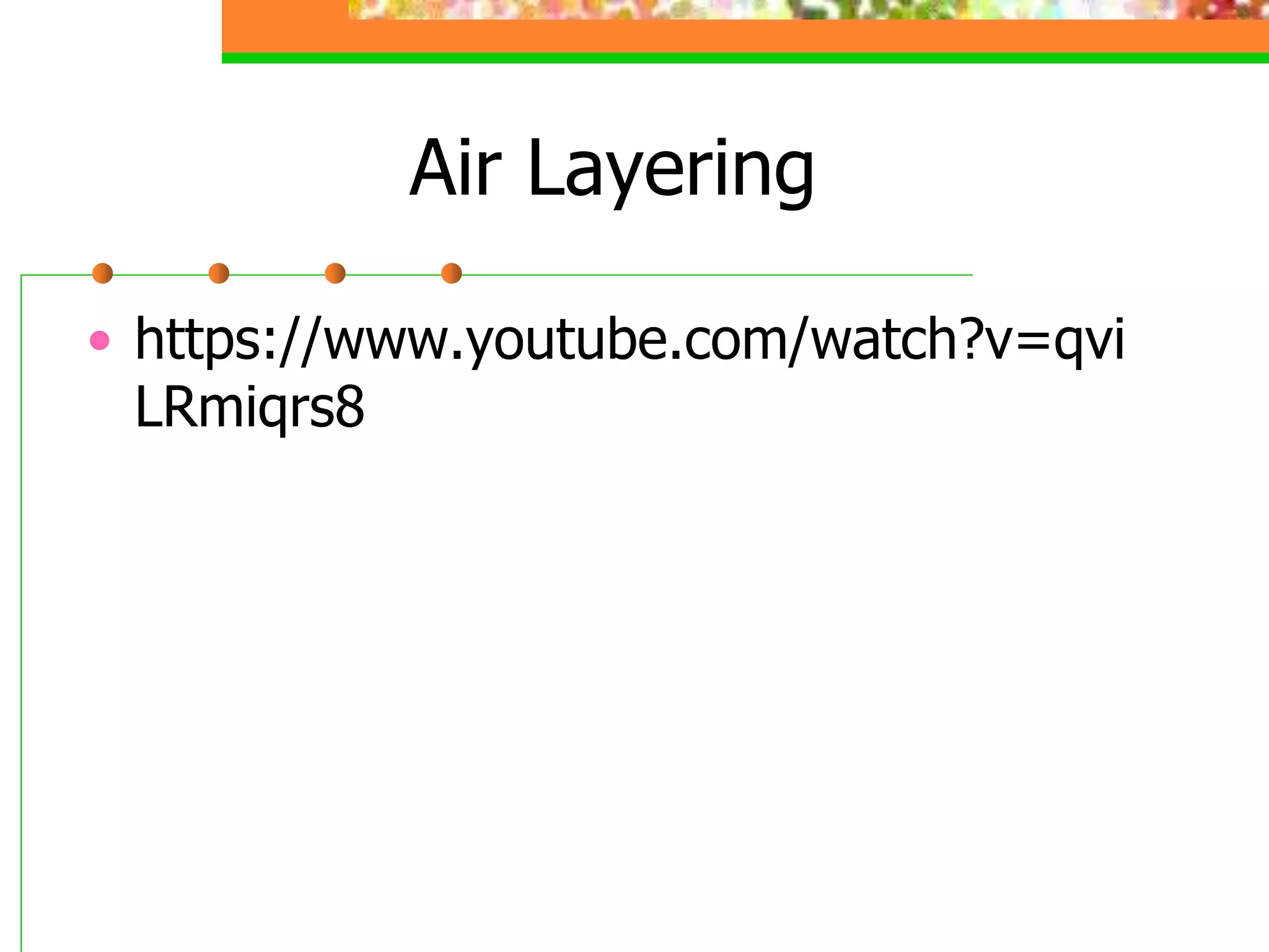 plant_propagation.ppt