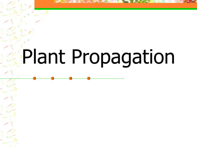 plant_propagation.ppt