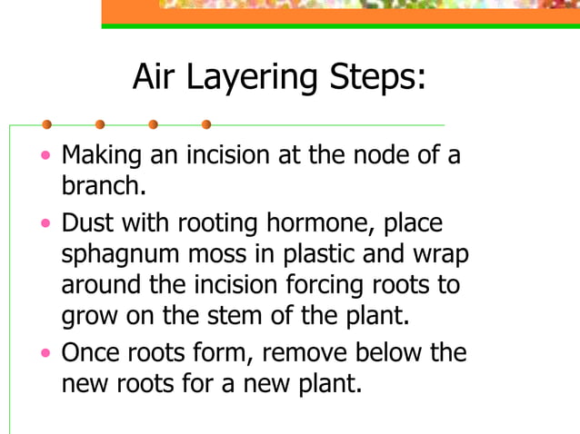 plant_propagation.ppt