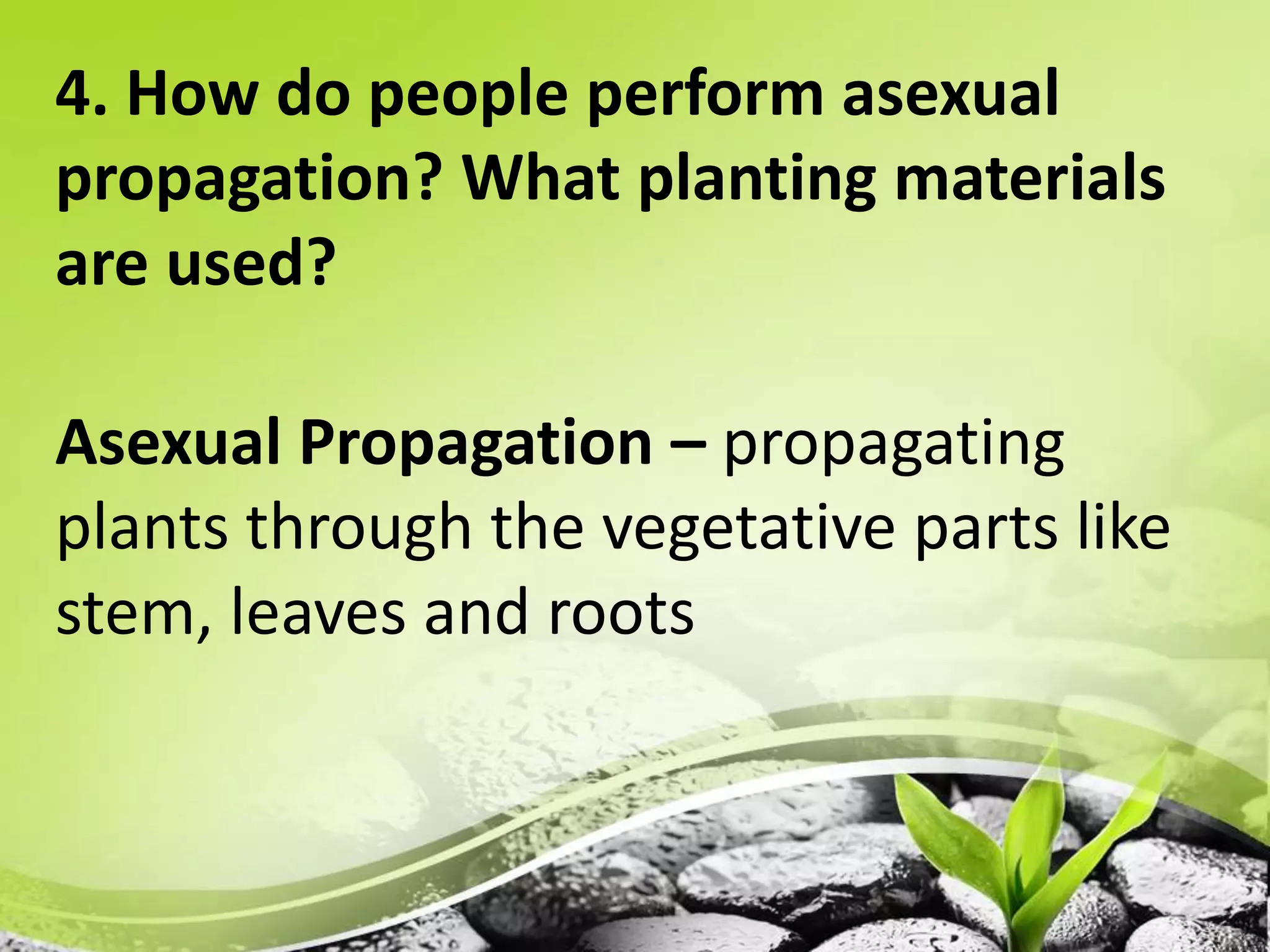 Plant propagation.pptx