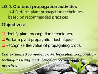 Plant propagation.pptx