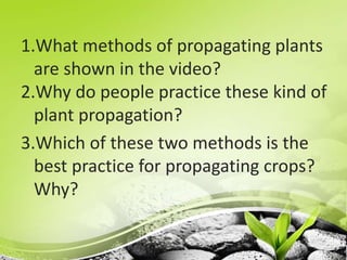 Plant propagation.pptx