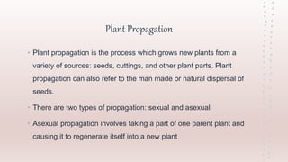 Plant Propagation.pptx