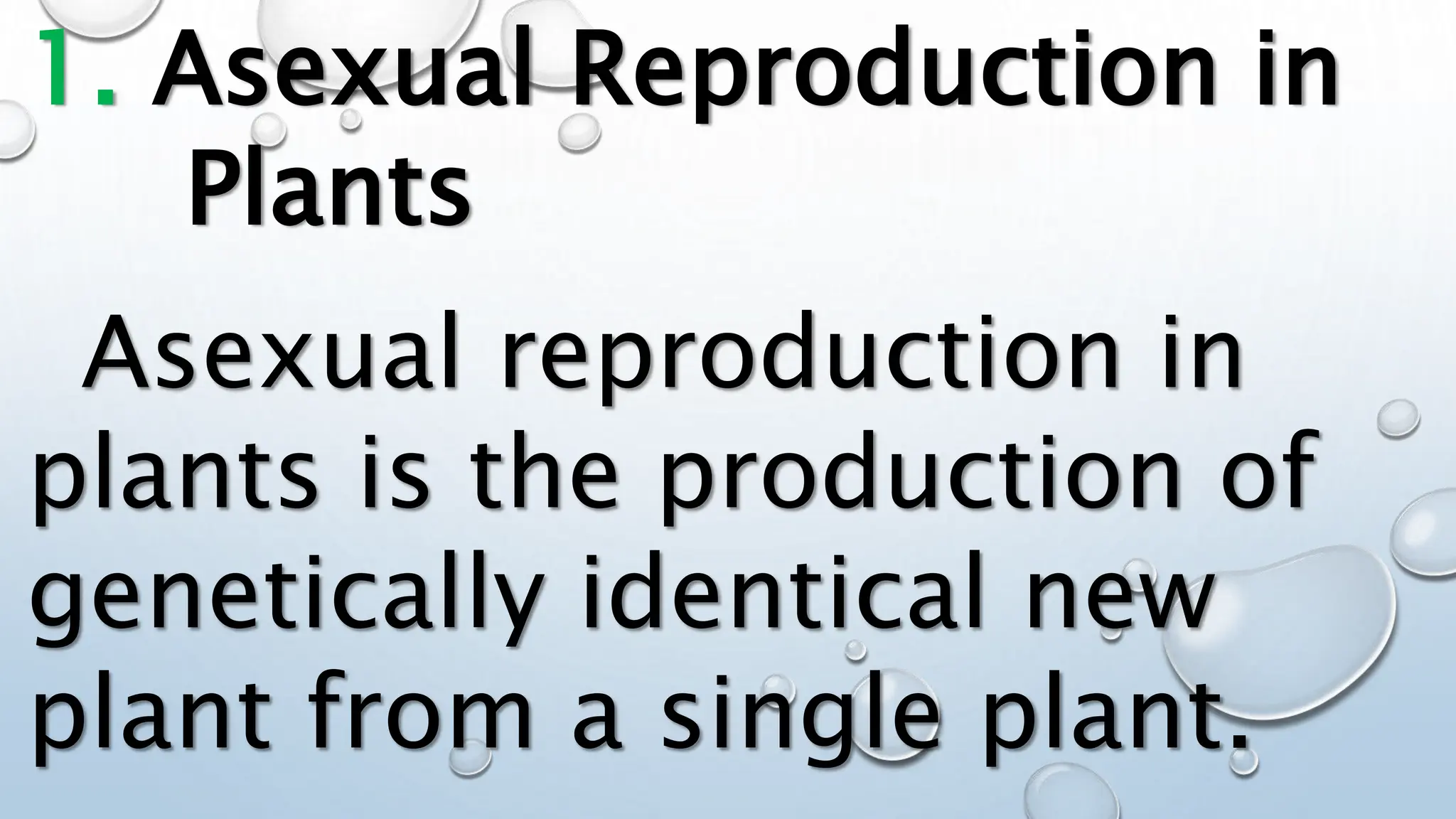 Plant Propagation.pptx