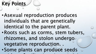 Plant Propagation.pptx
