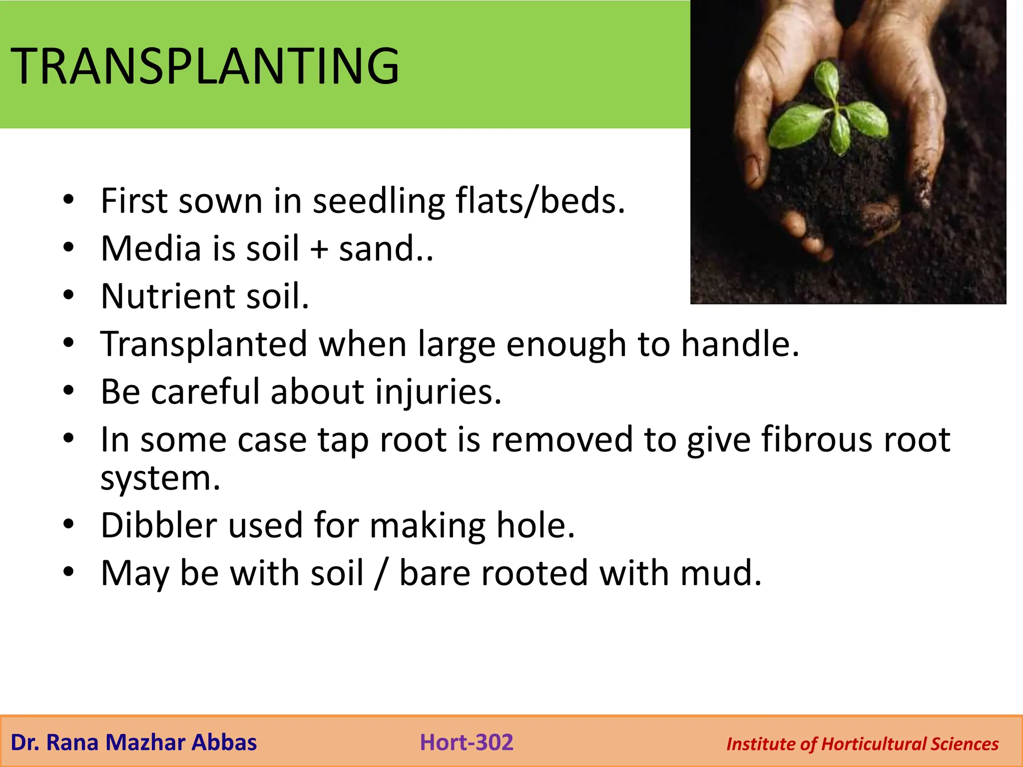 Plant Propagation.ppt the best methods of propagation | PPT ...