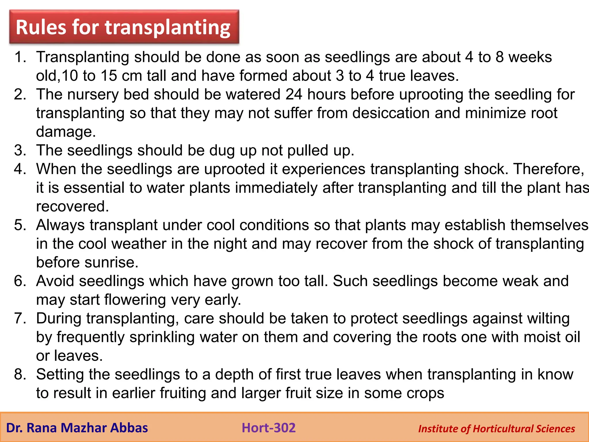 Plant Propagation.ppt the best methods of propagation | PPT