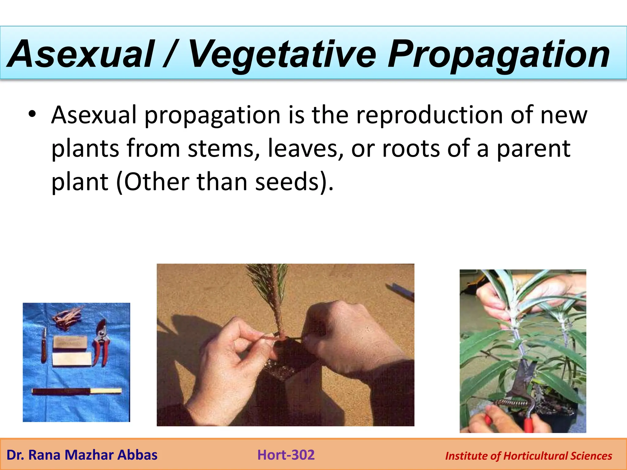 Plant Propagation.ppt the best methods of propagation | PPT