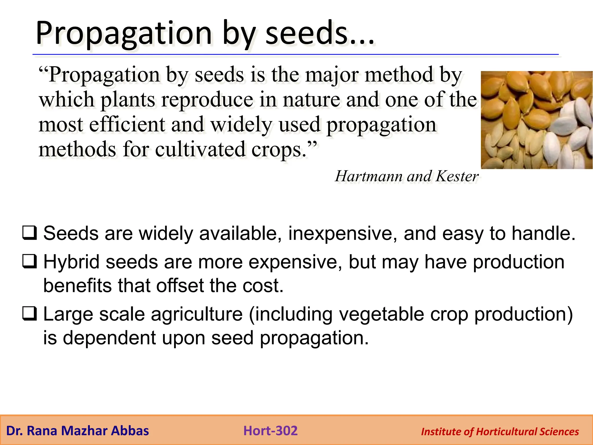 Plant Propagation.ppt the best methods of propagation | PPT