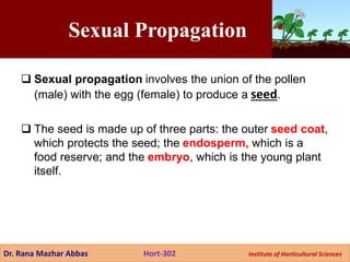 Plant Propagation.ppt the best methods of propagation | PPT