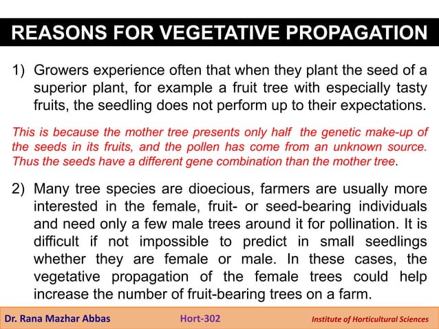 Plant Propagation.ppt the best methods of propagation | PPT ...