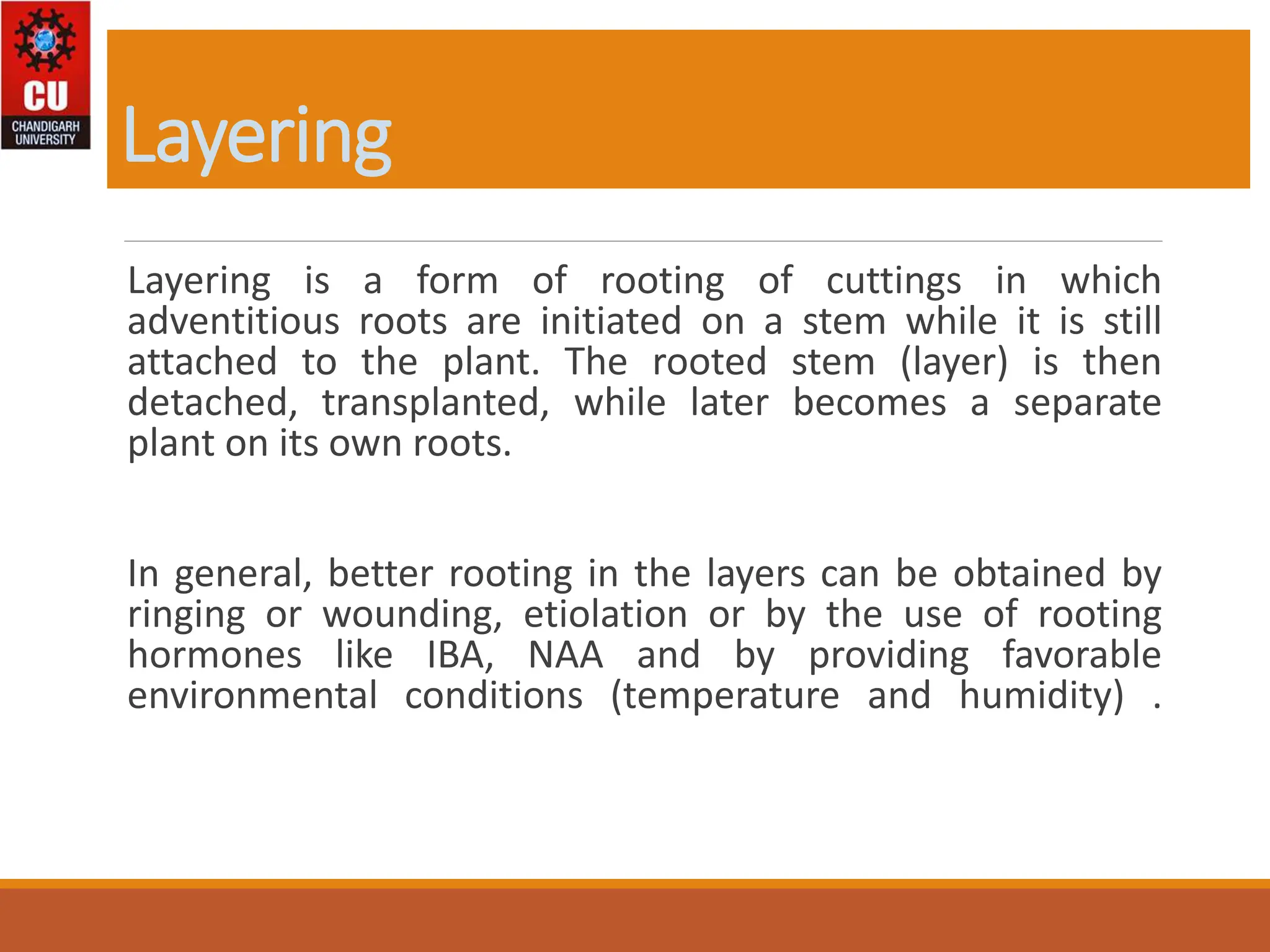 plant Propagation methods and its role in horticulture | PPTX