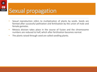 plant Propagation methods and its role in horticulture | PPTX