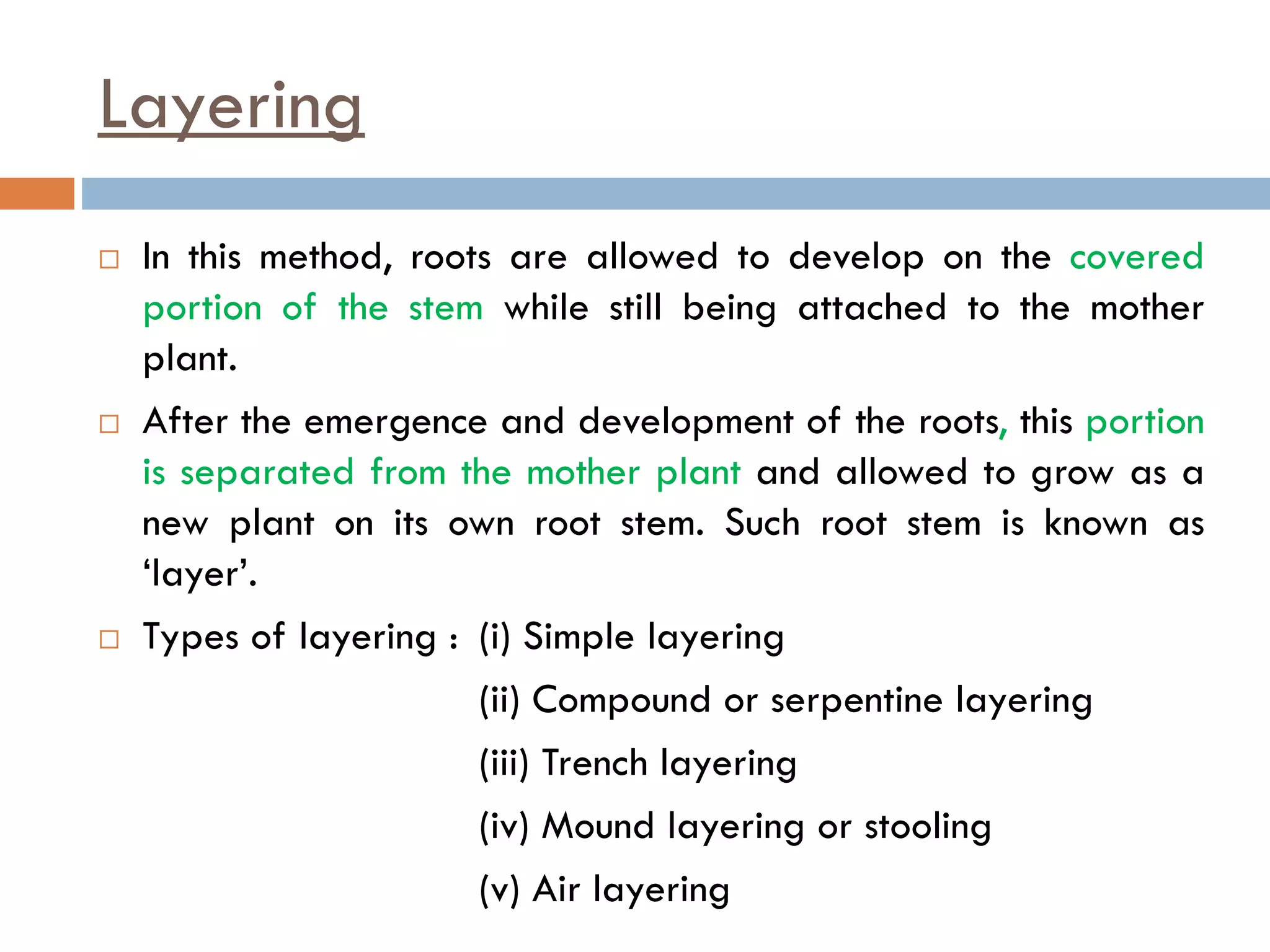 Plant propagation | PDF