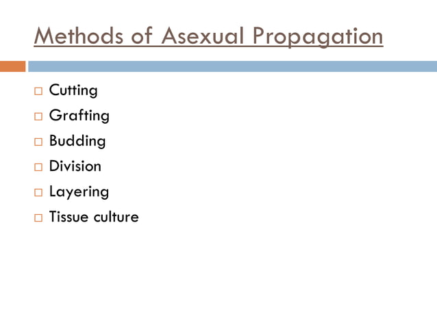 Plant propagation | PDF