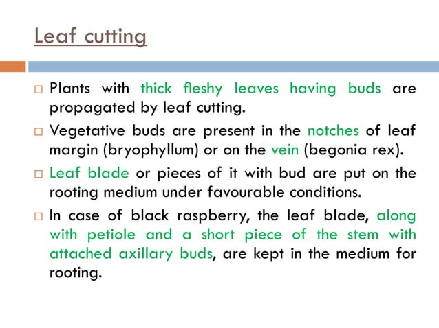 Plant propagation | PDF