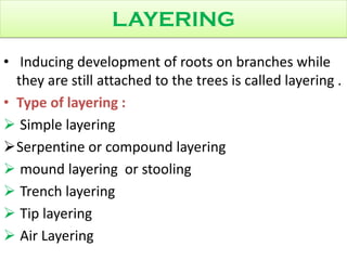 Plant propagation | PDF