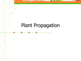 Comprehensive Guide to Plant Propagation Techniques and Methods | PDF