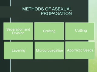 Sexual and Asexual Plant Propagation Techniquepdf | PDF