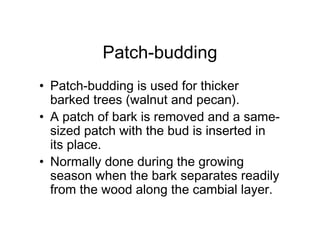 Plant propagation methodologies | PPT | Free Download