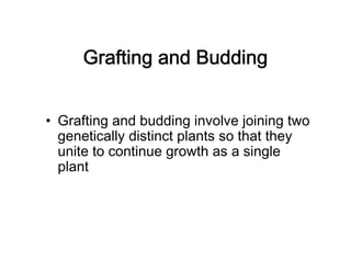 Plant propagation methodologies | PPT | Free Download