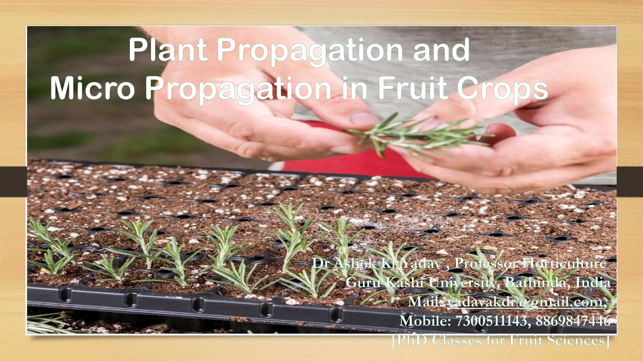Plant Propagation and Micropropagation in Fruit Crops for PhD students ...