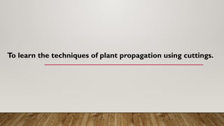 Plant propagation methods practical.pptx