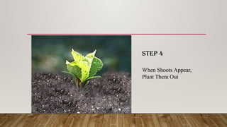 Plant propagation methods practical.pptx