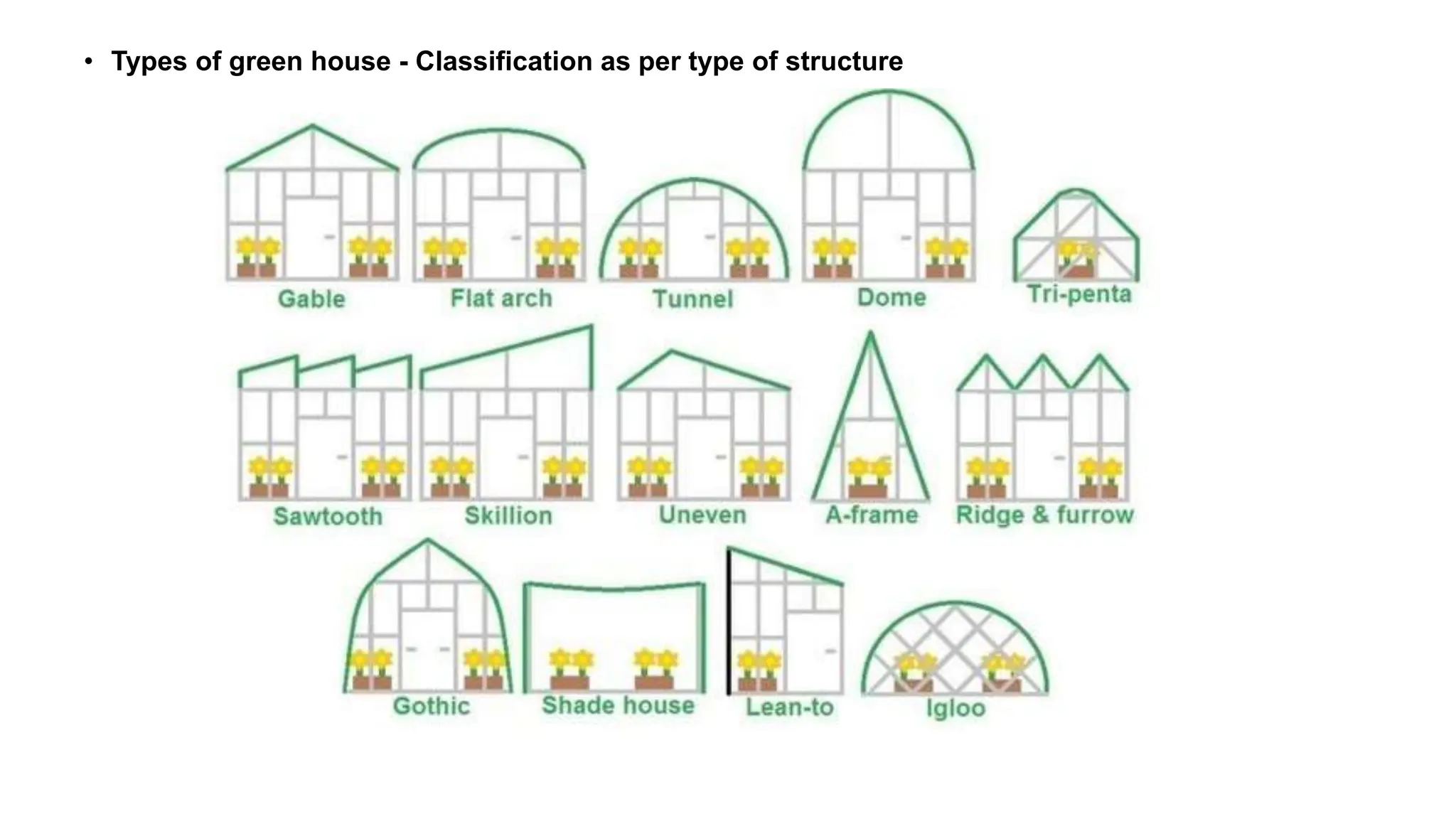 Plant Propagation Structures | PPTX