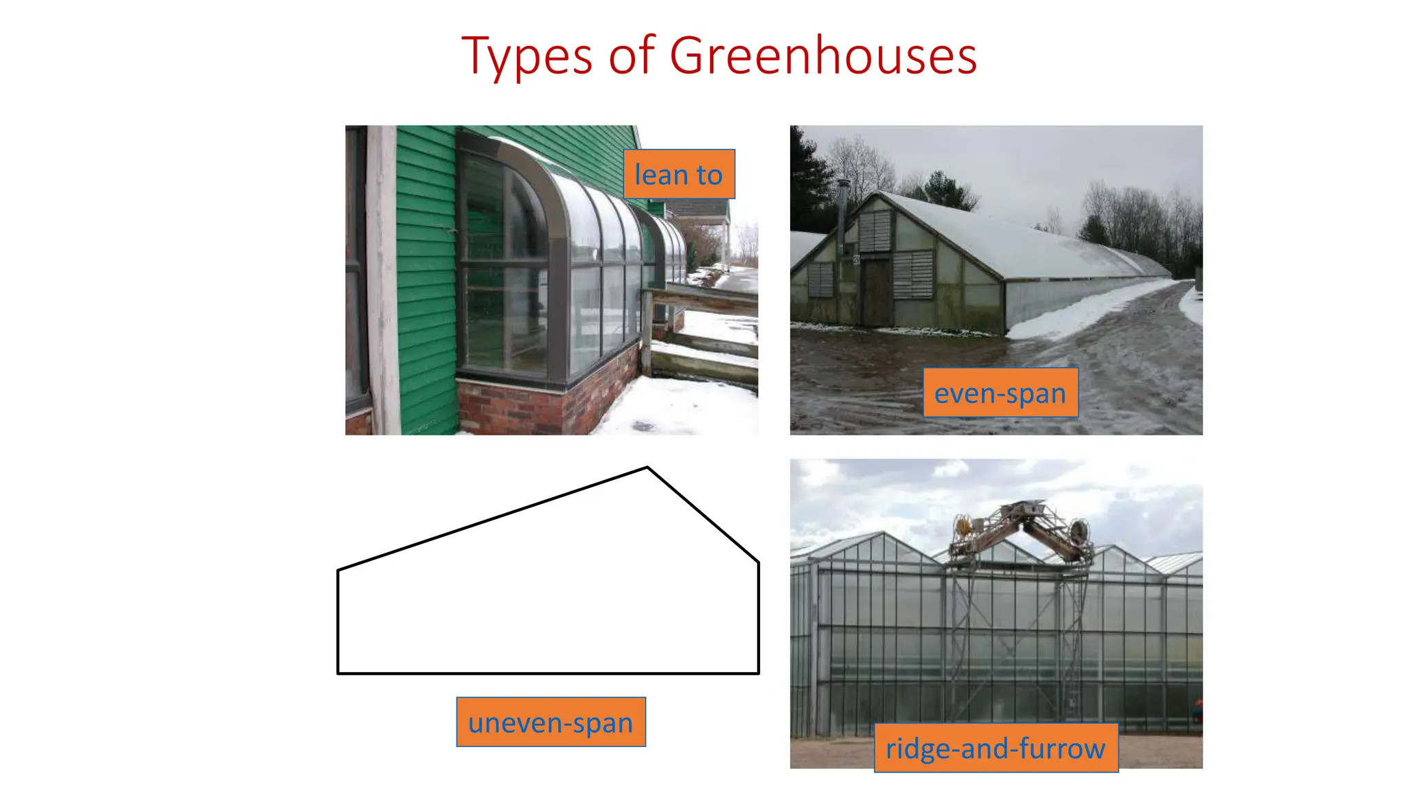 Plant Propagation Structures | PPTX