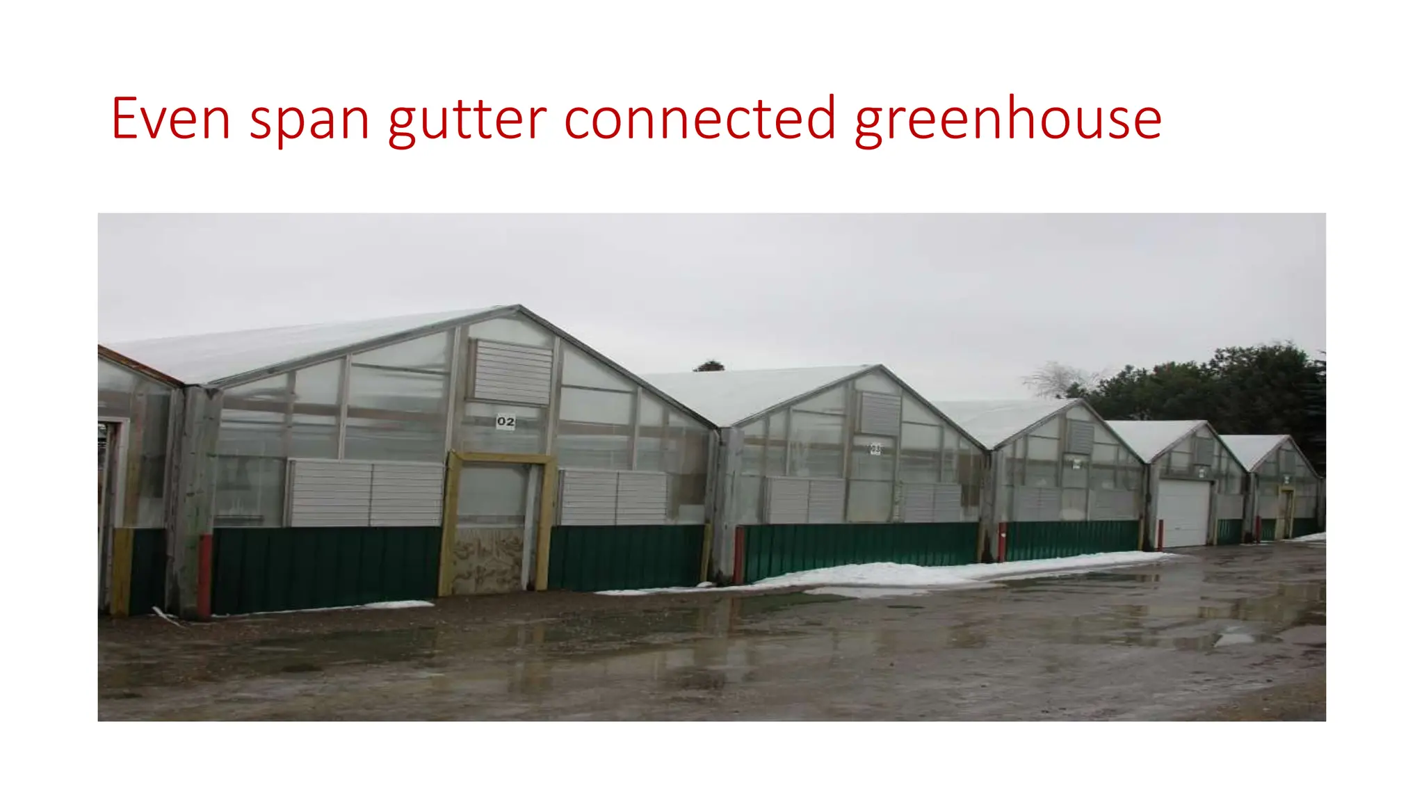 Plant Propagation Structures | PPTX