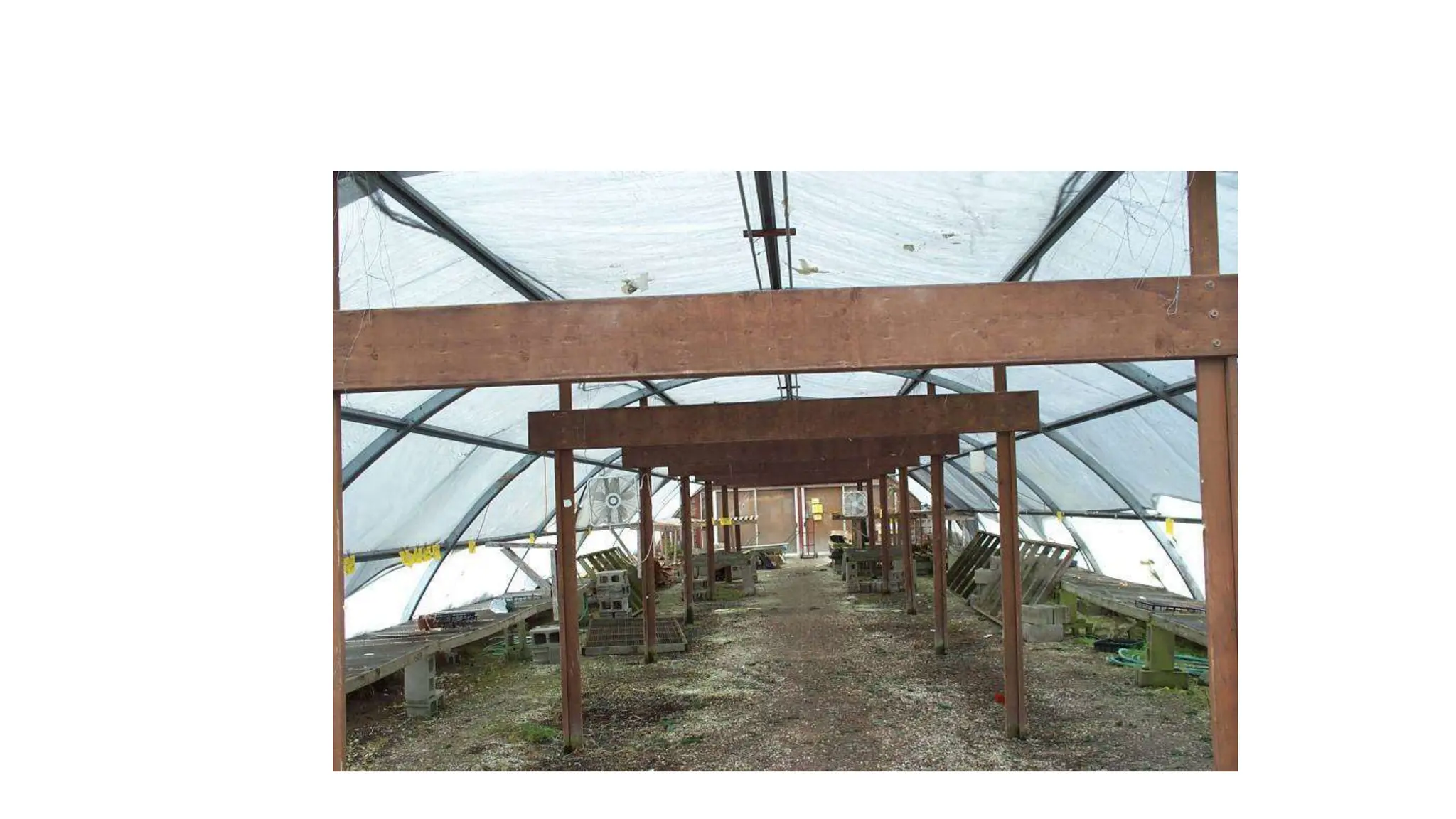 Plant Propagation Structures | PPTX