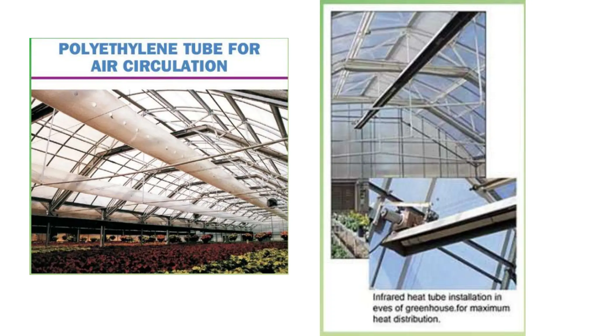 Plant Propagation Structures | PPTX