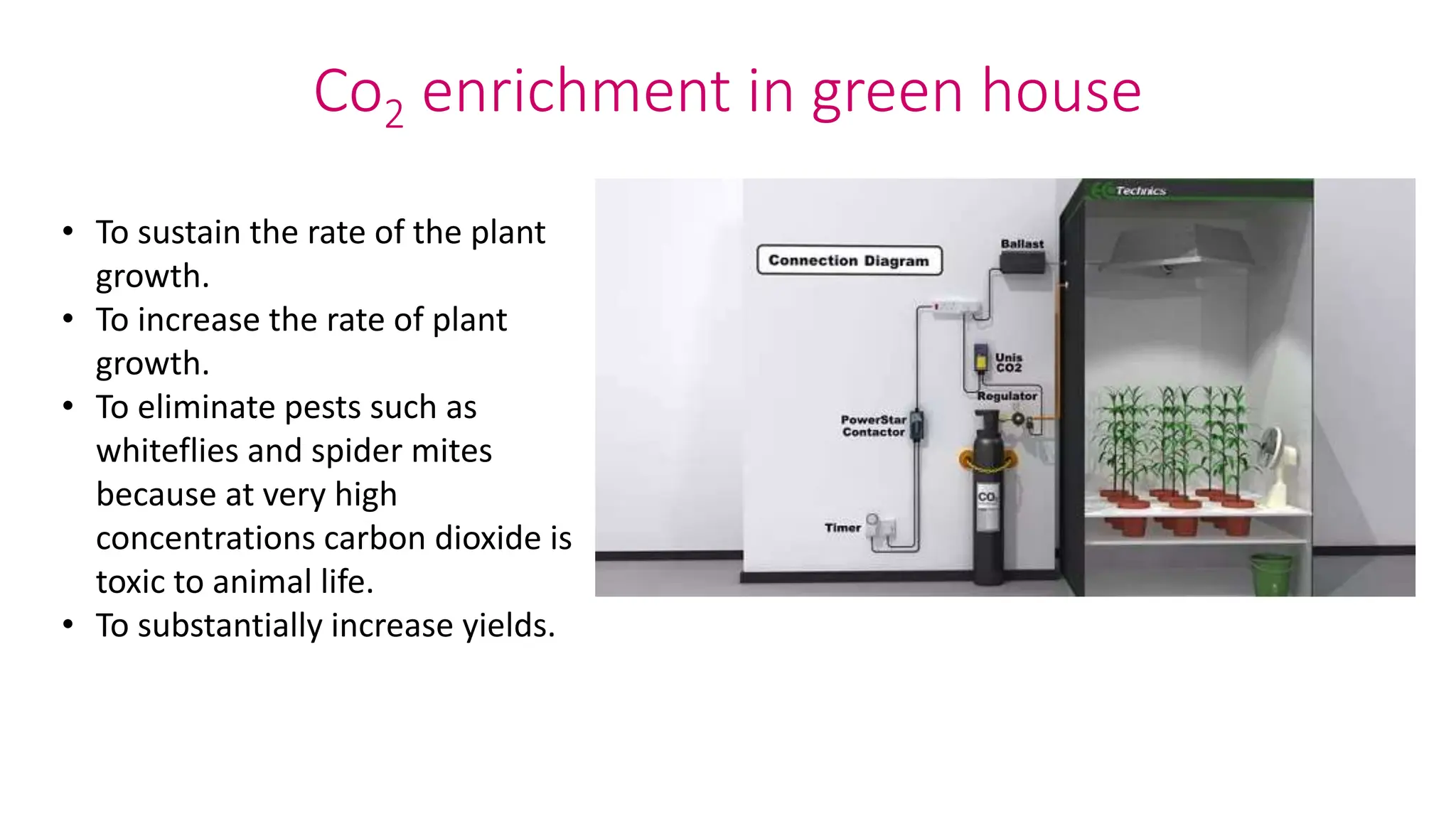 Plant Propagation Structures | PPTX