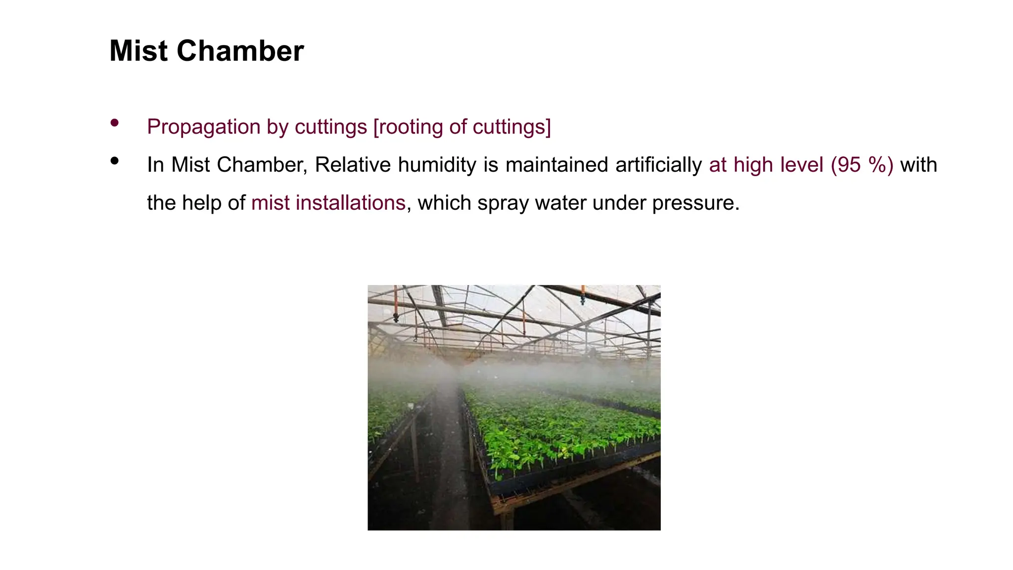 Plant Propagation Structures | PPTX