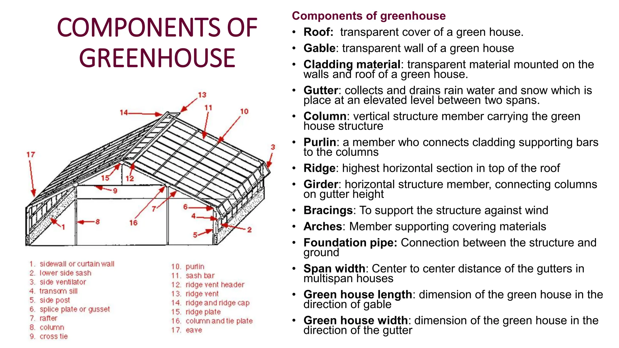 Plant Propagation Structures | PPTX | Gardening | Home & Garden