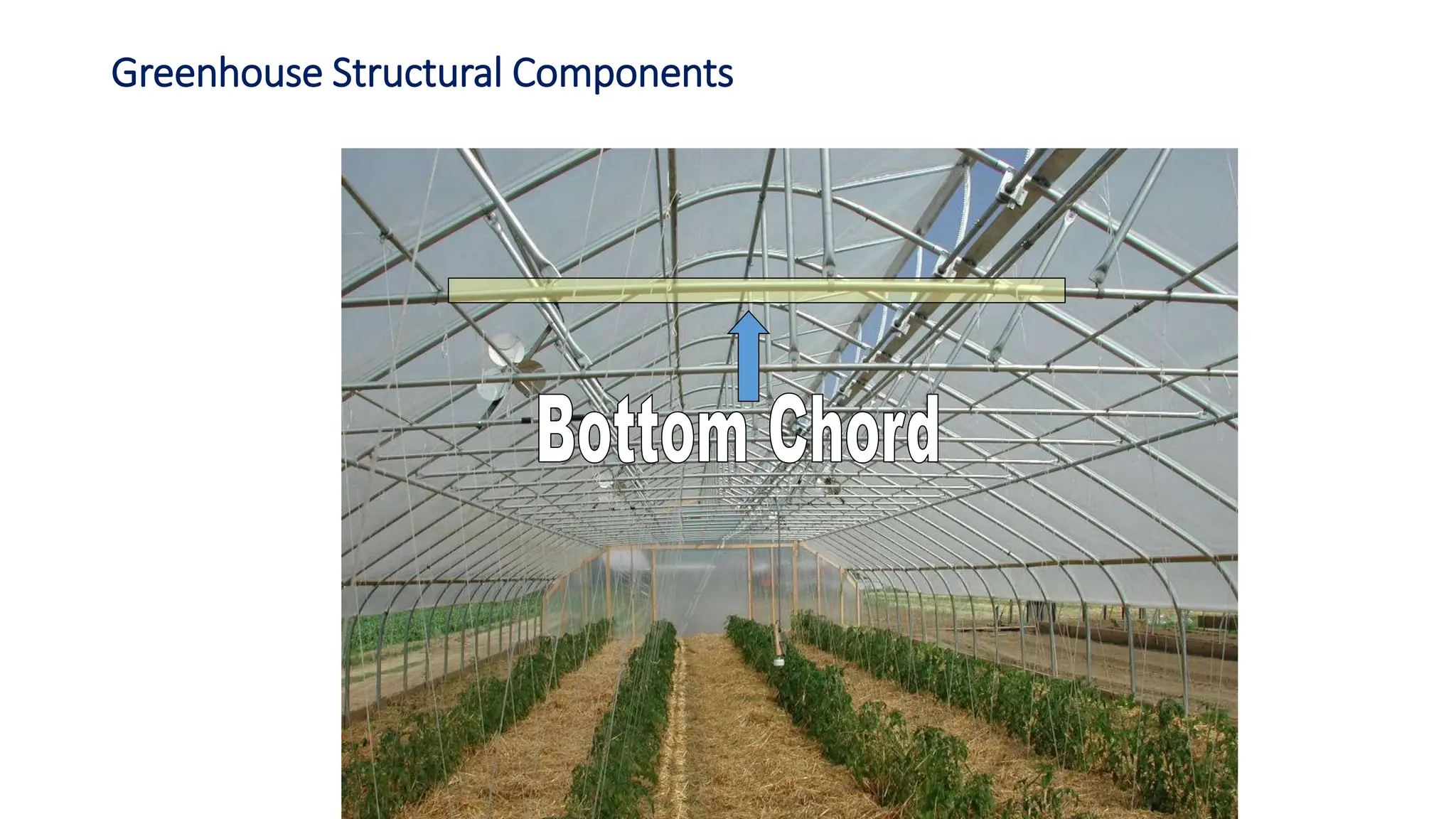 Plant Propagation Structures | PPTX