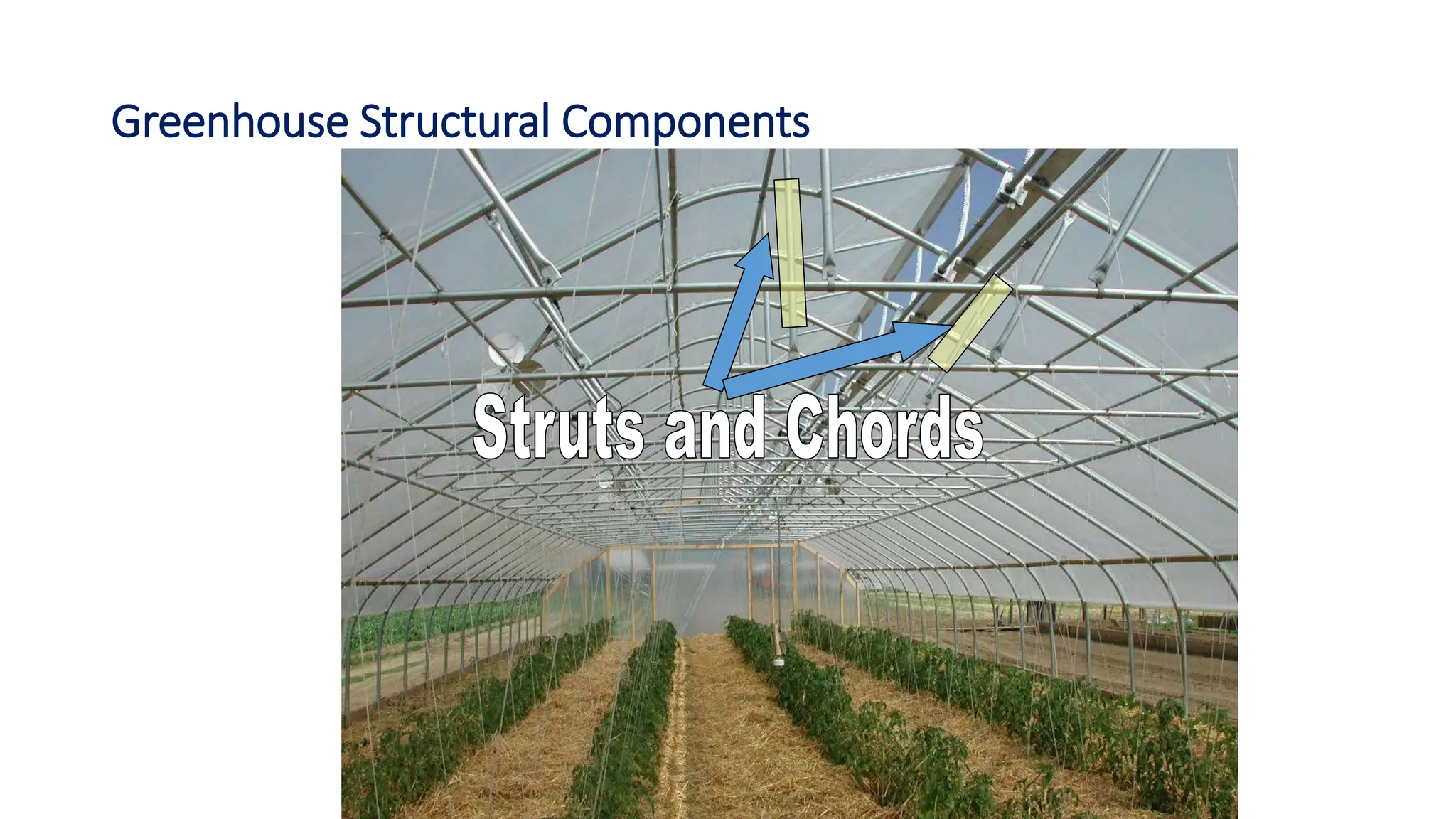 Plant Propagation Structures | PPTX