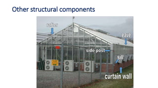Plant Propagation Structures | PPTX