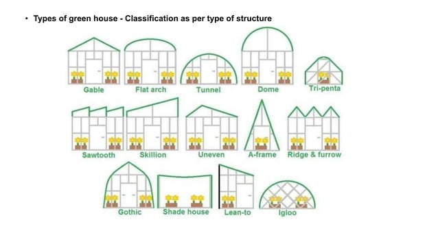 Plant Propagation Structures | PPTX | Gardening | Home & Garden