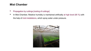 Plant Propagation Structures | PPTX