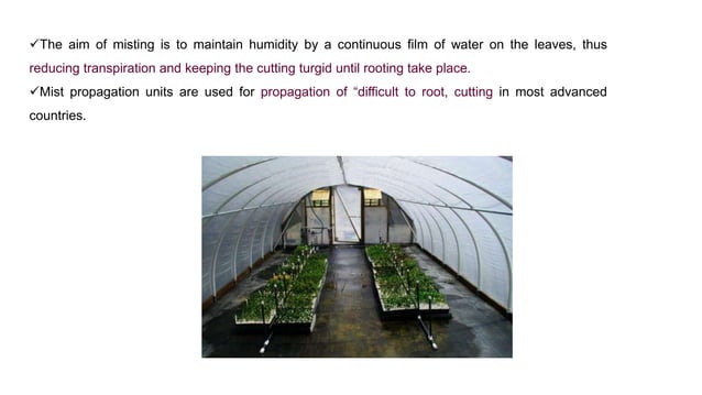 Plant Propagation Structures | PPTX | Gardening | Home & Garden