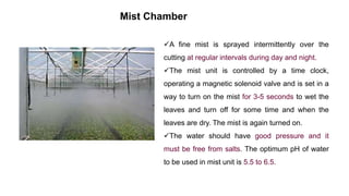 Plant Propagation Structures | PPTX