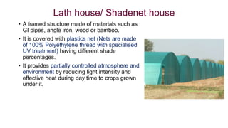 Plant Propagation Structures | PPTX