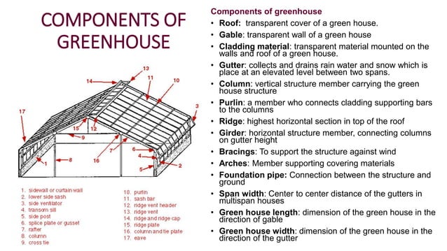 Plant Propagation Structures | PPTX | Gardening | Home & Garden