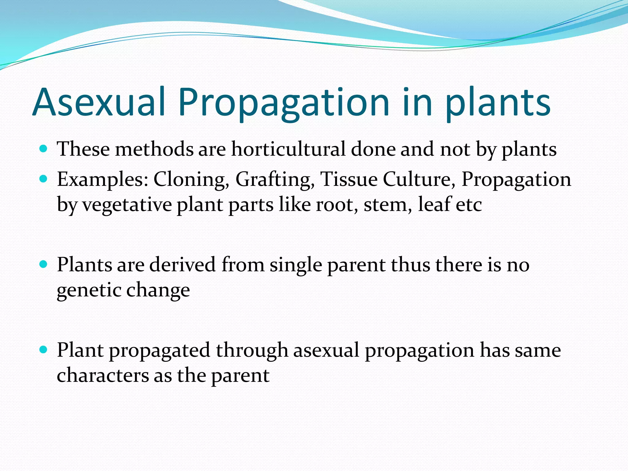 Plant propogation | PPTX