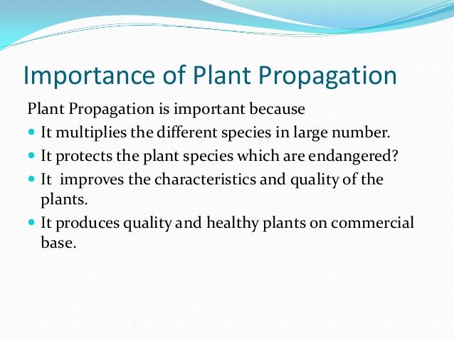 Plant Propogation Plant Propogation