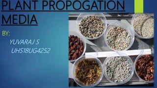 Plant propogation medias | PPTX