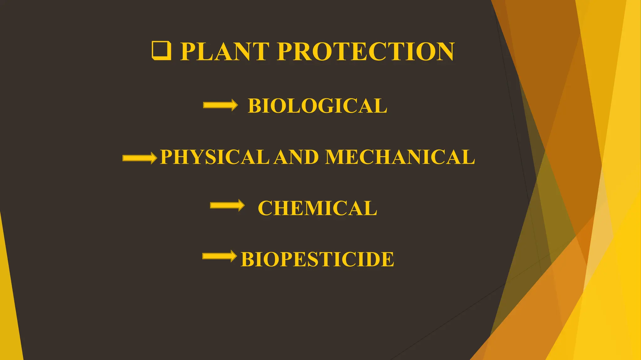 PLANT PROTECTION.pptx