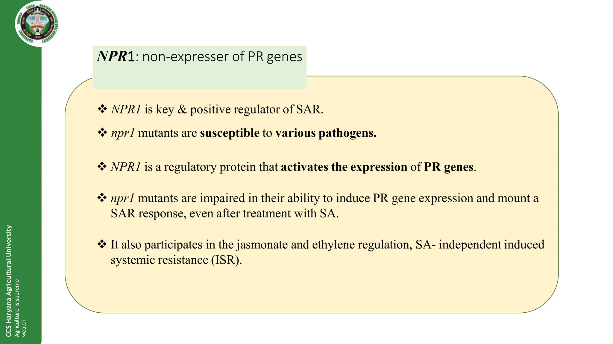 plant protection using isr and sar non credit seminar | PPTX
